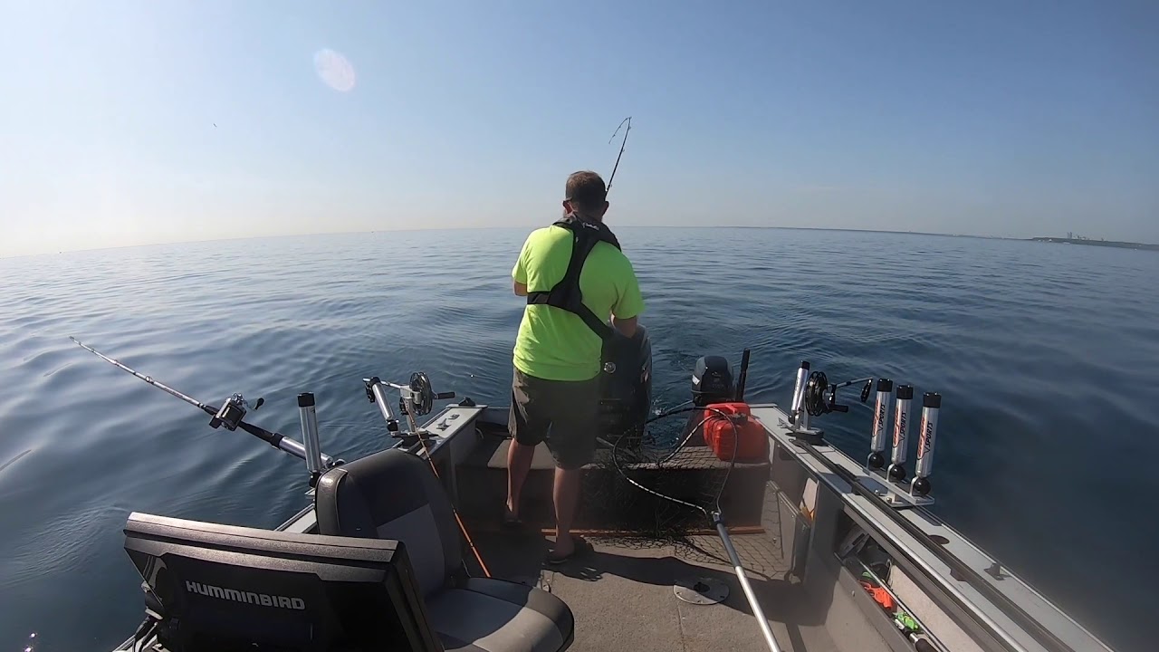 30 lb King Salmon solo battle - YouTube