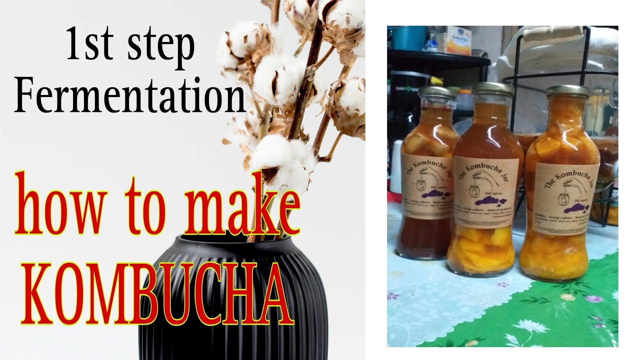 Making KOMBUCHA 1st step/First fermentation - YouTube