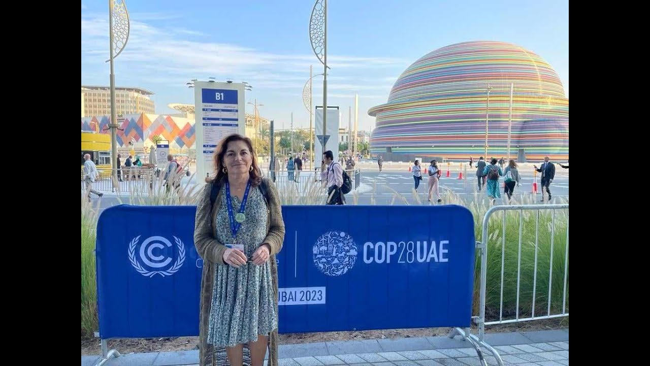 Reflexão sobre a COP28: Conferência do Clima / A reflection on the UN Climate Change Conference ...