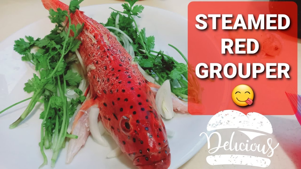 YUMMY FOOD...STEAMED RED GROUPER - YouTube