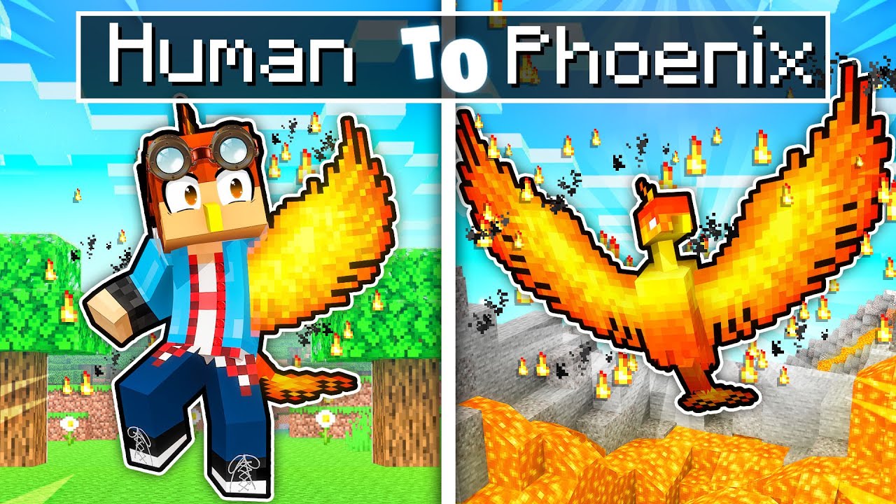 From HUMAN To PHOENIX in Minecraft! - YouTube