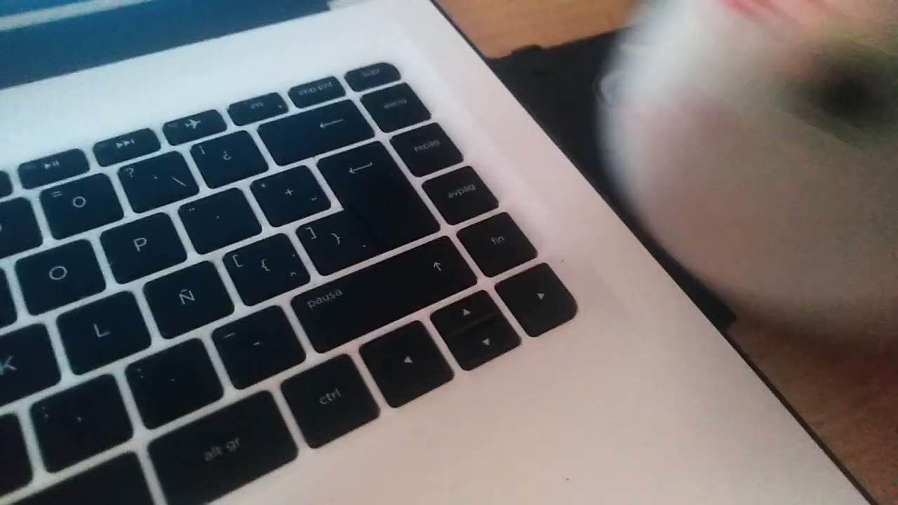 Opening To Up 2009 DVD - YouTube