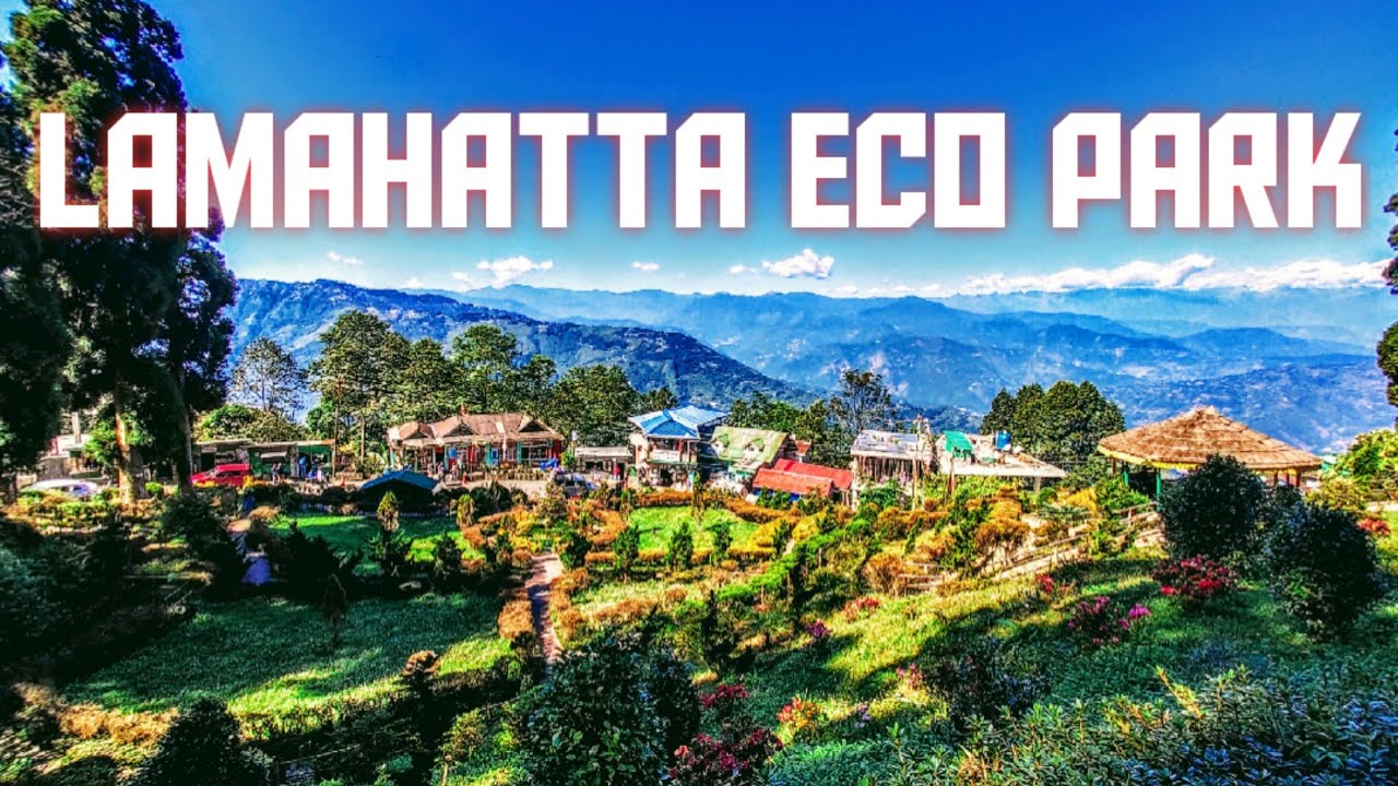 Lamahatta Darjeeling // Lamahatta eco park - YouTube