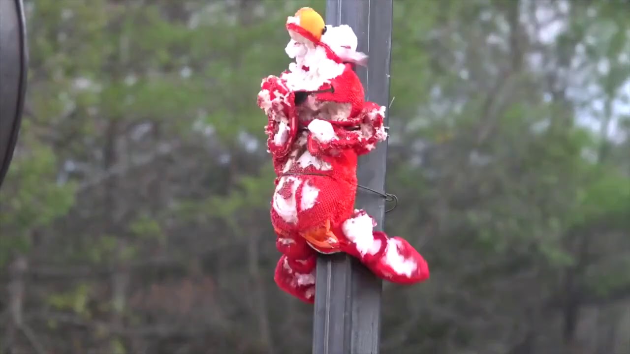 elmo jet engine fart sfx - YouTube