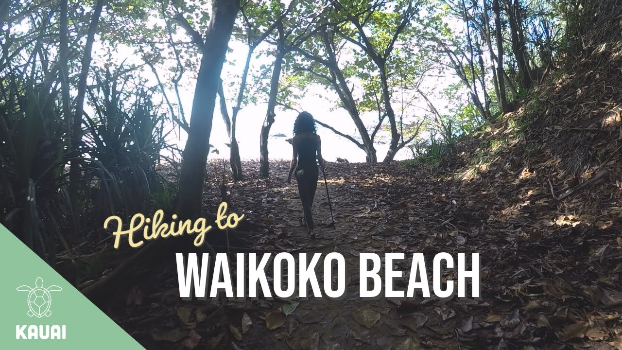 Hawaii Photo Shoot Adventure II Pt 5: Hiking to Waikoko Beach! - YouTube