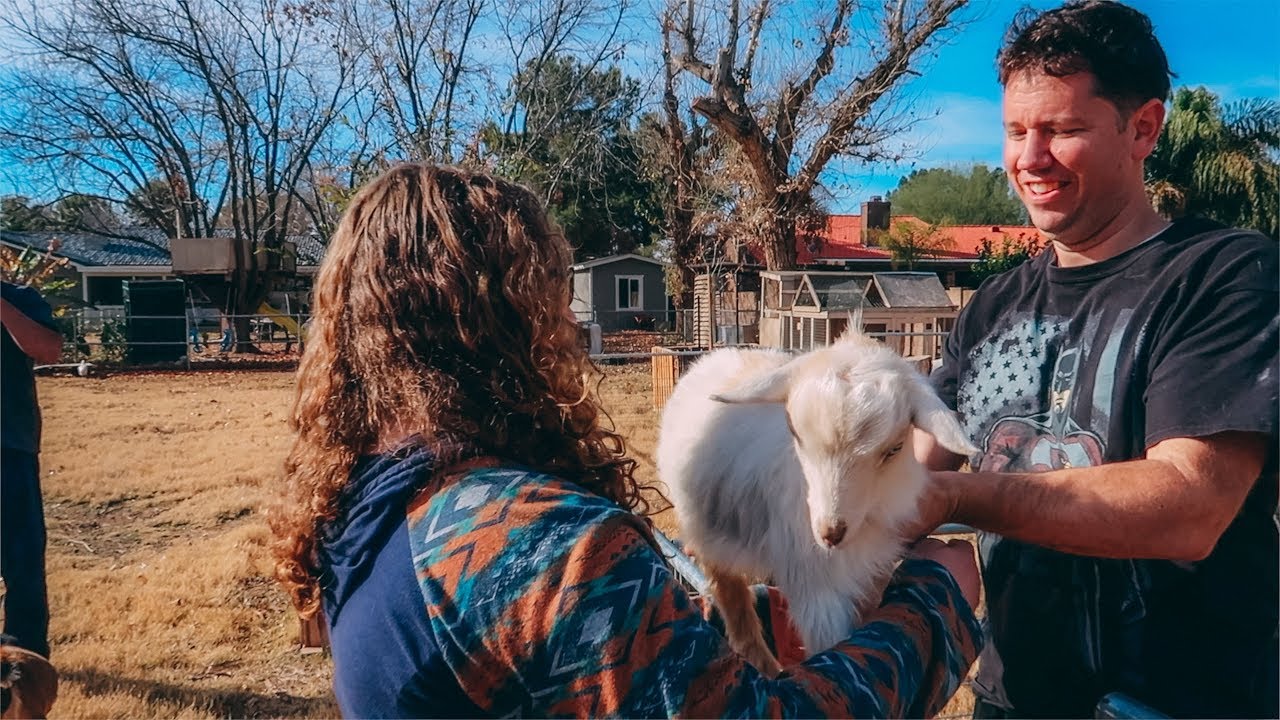 Saying GOODBYE to the Baby Goats 😭 - YouTube