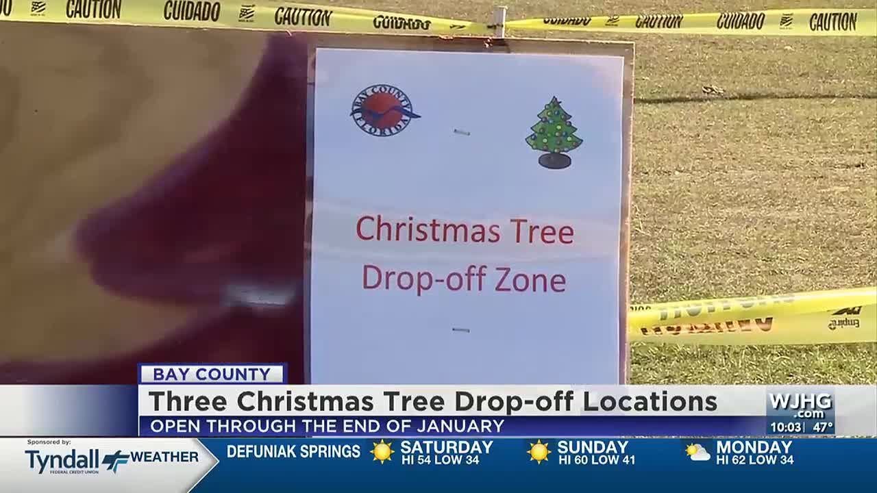 CHRISTMAS TREE DROP OFF - YouTube