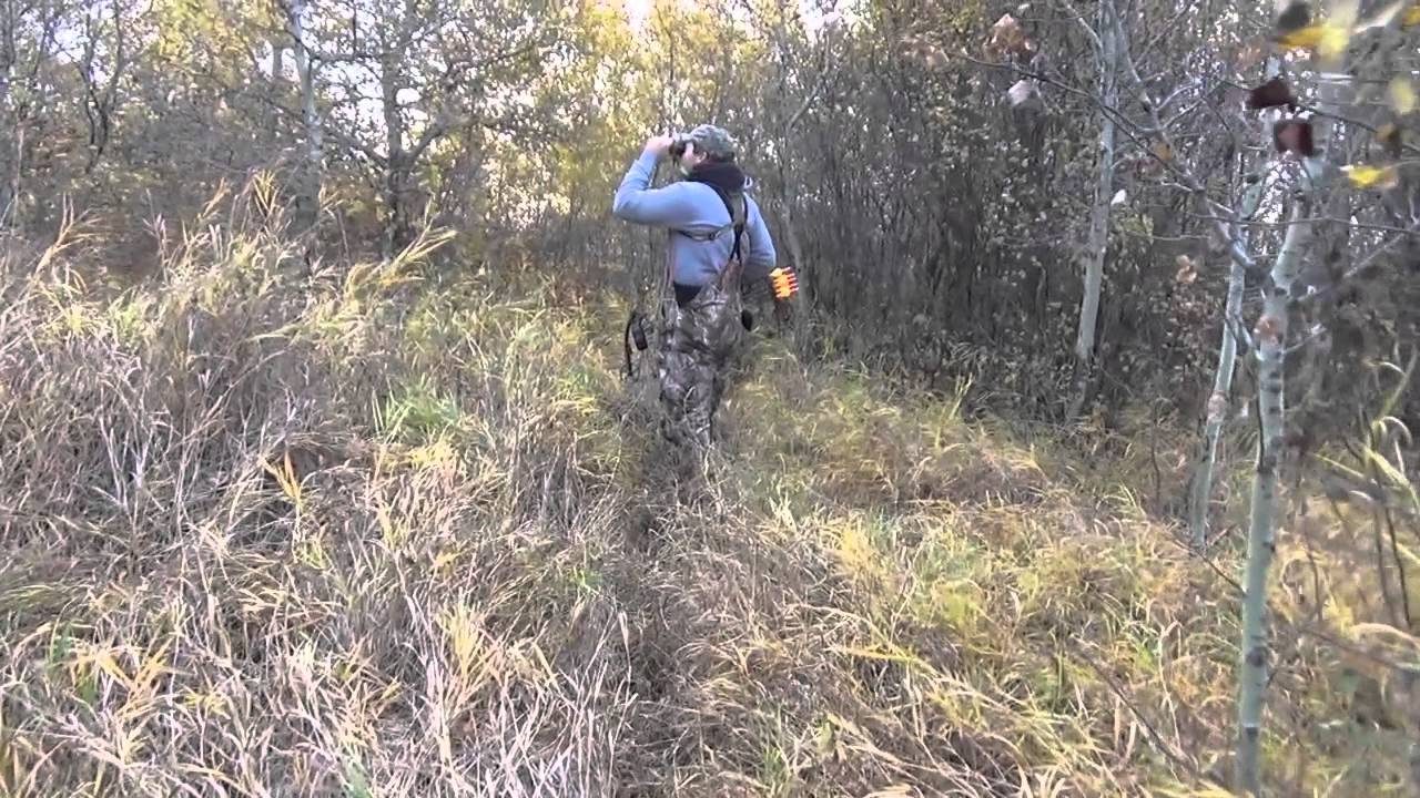 Double Drop Tine Buck (episode) Alberta - YouTube