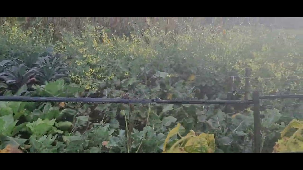 September 22, 2022(3) - YouTube