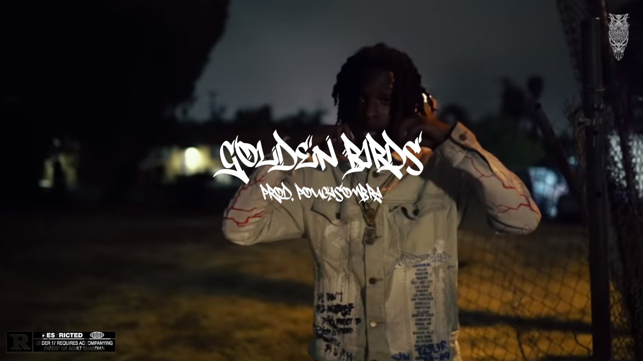 (FREE) R3 Da Chilliman x S5 | Type Beat 2023 - Golden Birds - YouTube Music