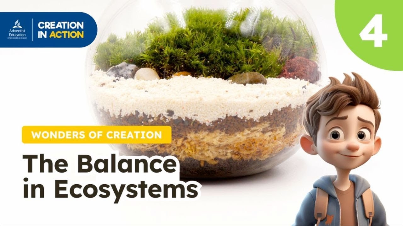The Balance in Ecosystems | Creation in Action – Module 4 - YouTube