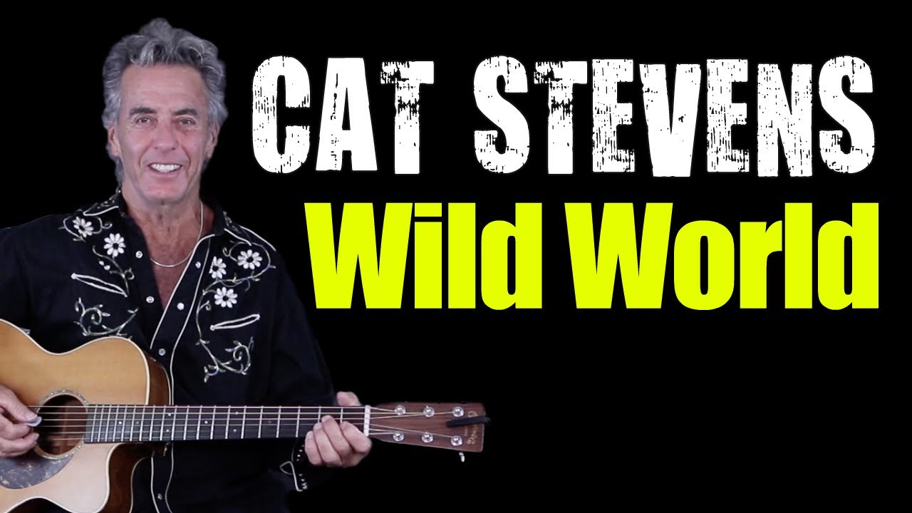 How To Play Wild World On Guitar By Cat Stevens - YouTube