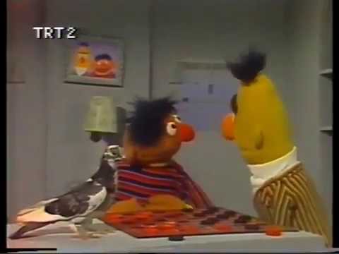 Edi ile Büdü - Büdü Güvercine Dama Öğretiyor