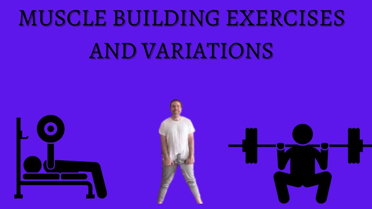 Muscle building exercises and variations - YouTube