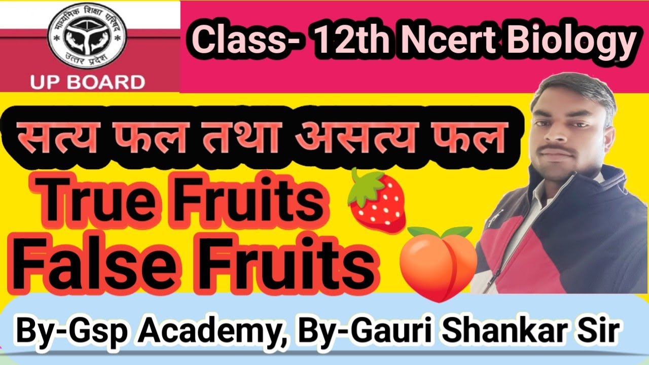 सत्य फल तथा असत्य फल ।।True 🍓 Fruits 🍑 &False Fruits #ncert # ...