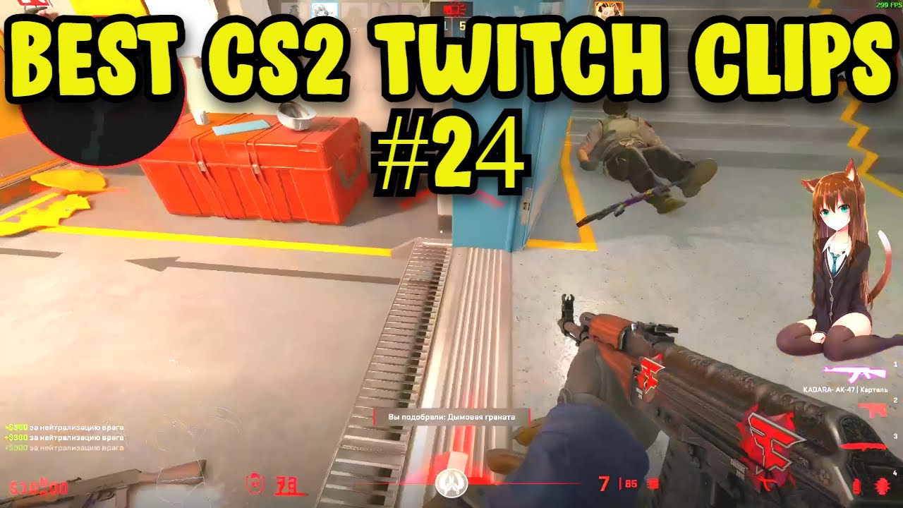 BEST CS2 CLIPS #24 | CS2 BEST TWITCH HIGHLIGHTS - YouTube