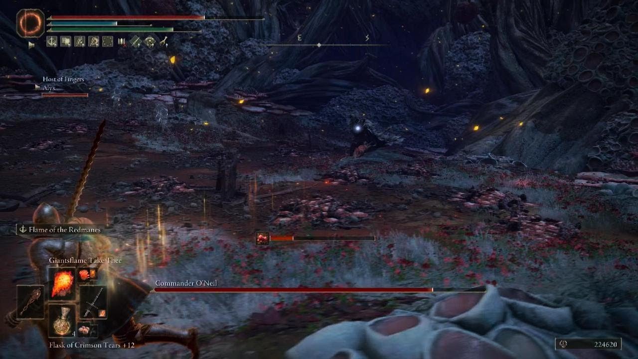 The most scuffed O'Neill fight (Elden Ring) - YouTube