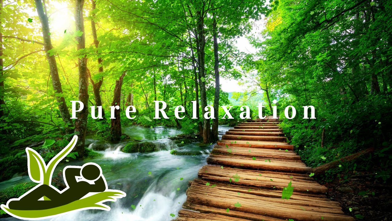 3 HOURS Relaxing Peaceful Music Nature Birds ⏺ Sleep Music, Meditation ...