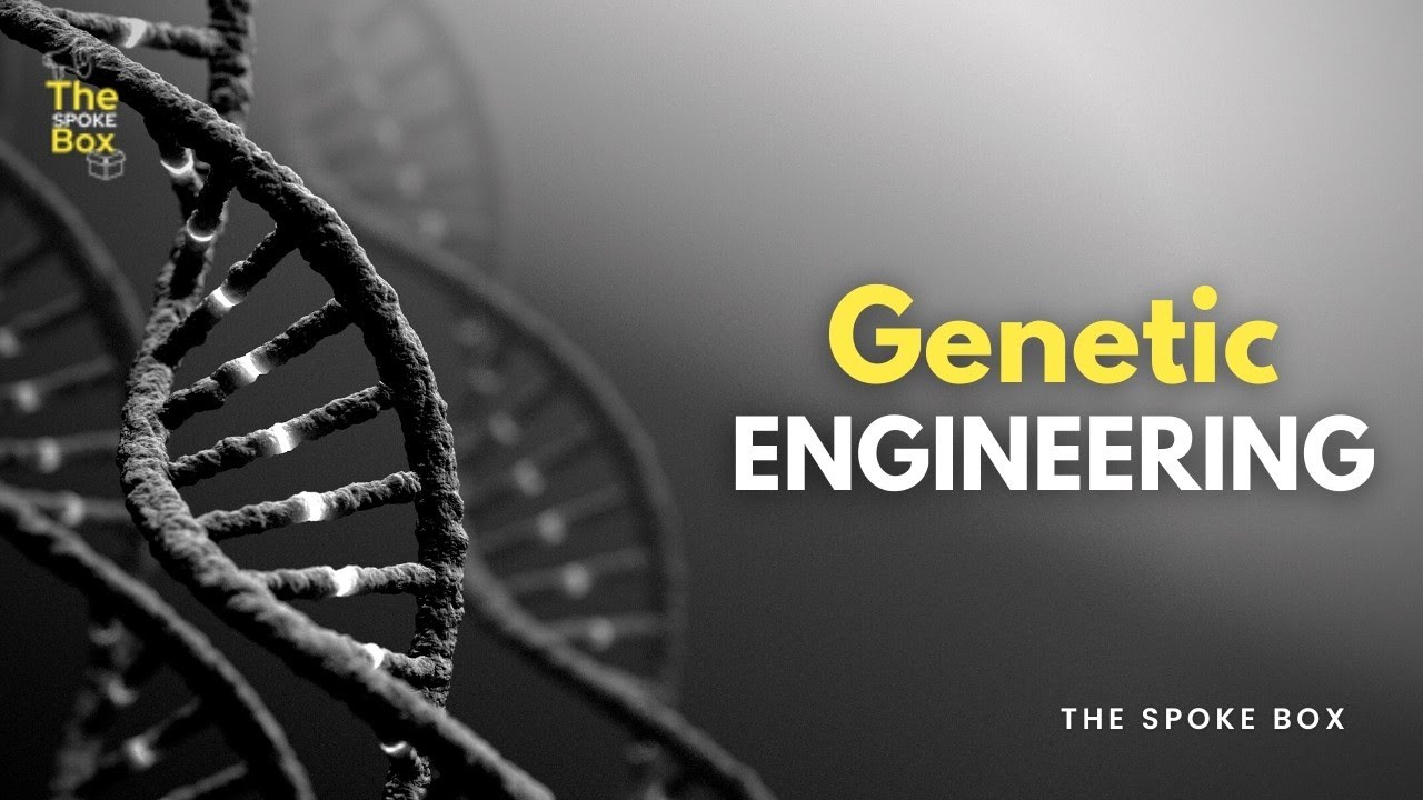 Genetic Engineering 🔥 The Wonders of Genetic Engineering | The spoke ...