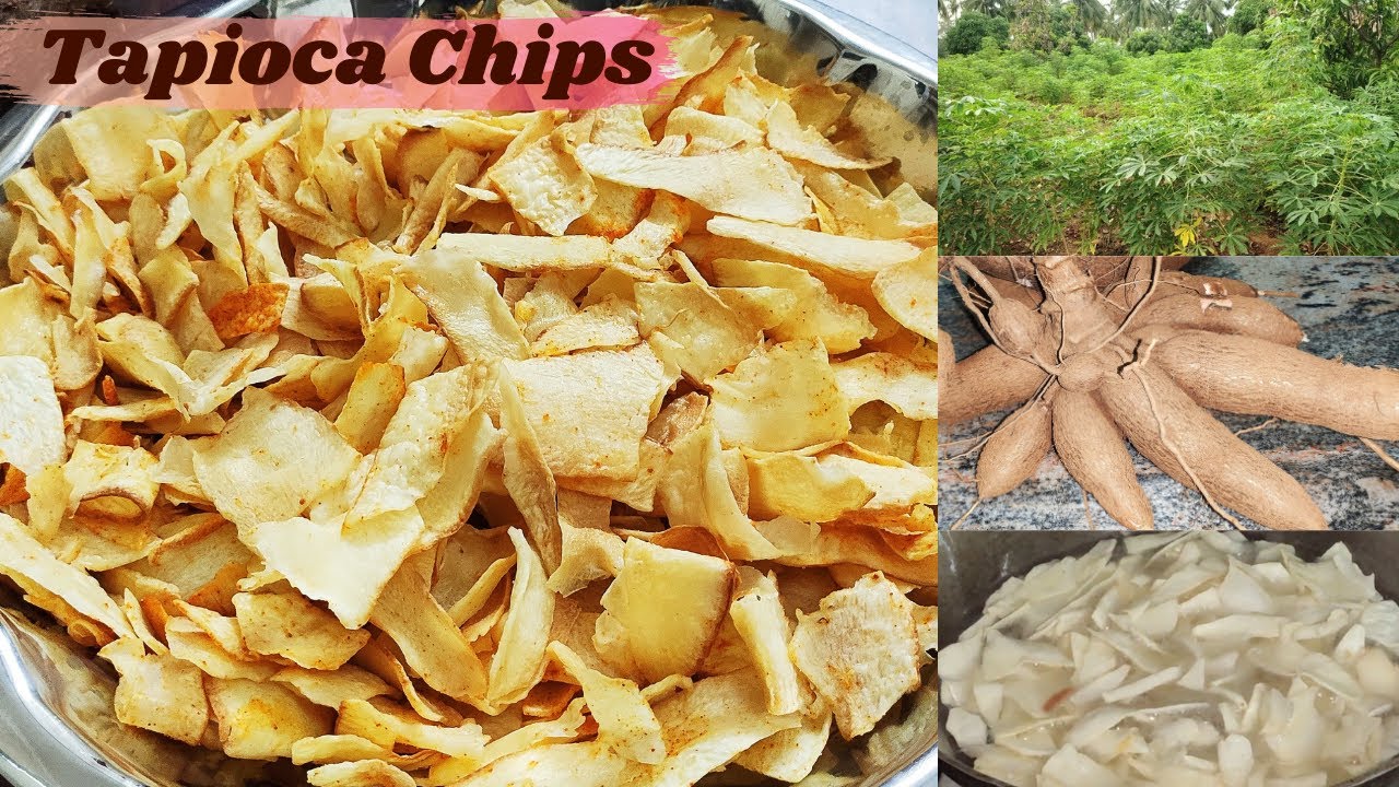 How to Cook Crispy Cassava Chips / Tapioca Chips Recipe / Maravalli ...
