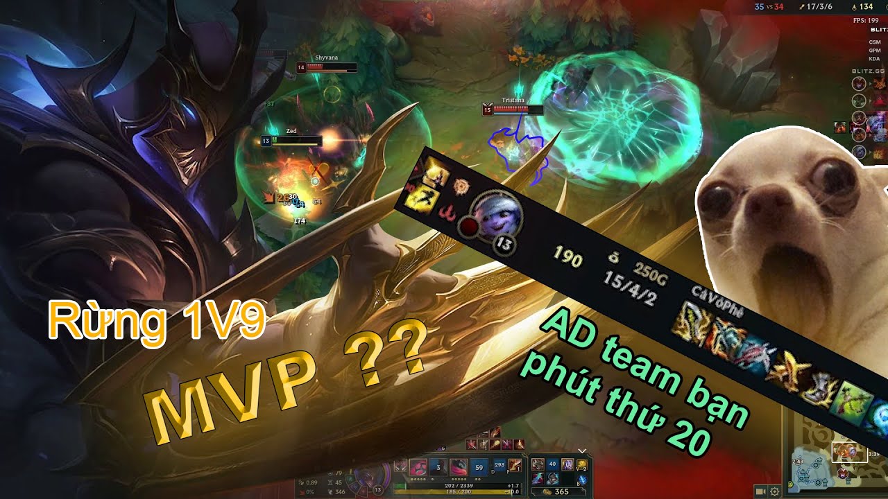Bang Champ Zed l Zed Jungler 1vs9 Insaneeee!! l League Of Legends - YouTube