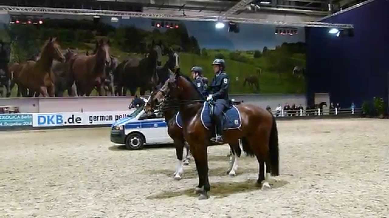 Bundespolizei Reiterstaffel auf der Hippologica Berlin 2014 - YouTube