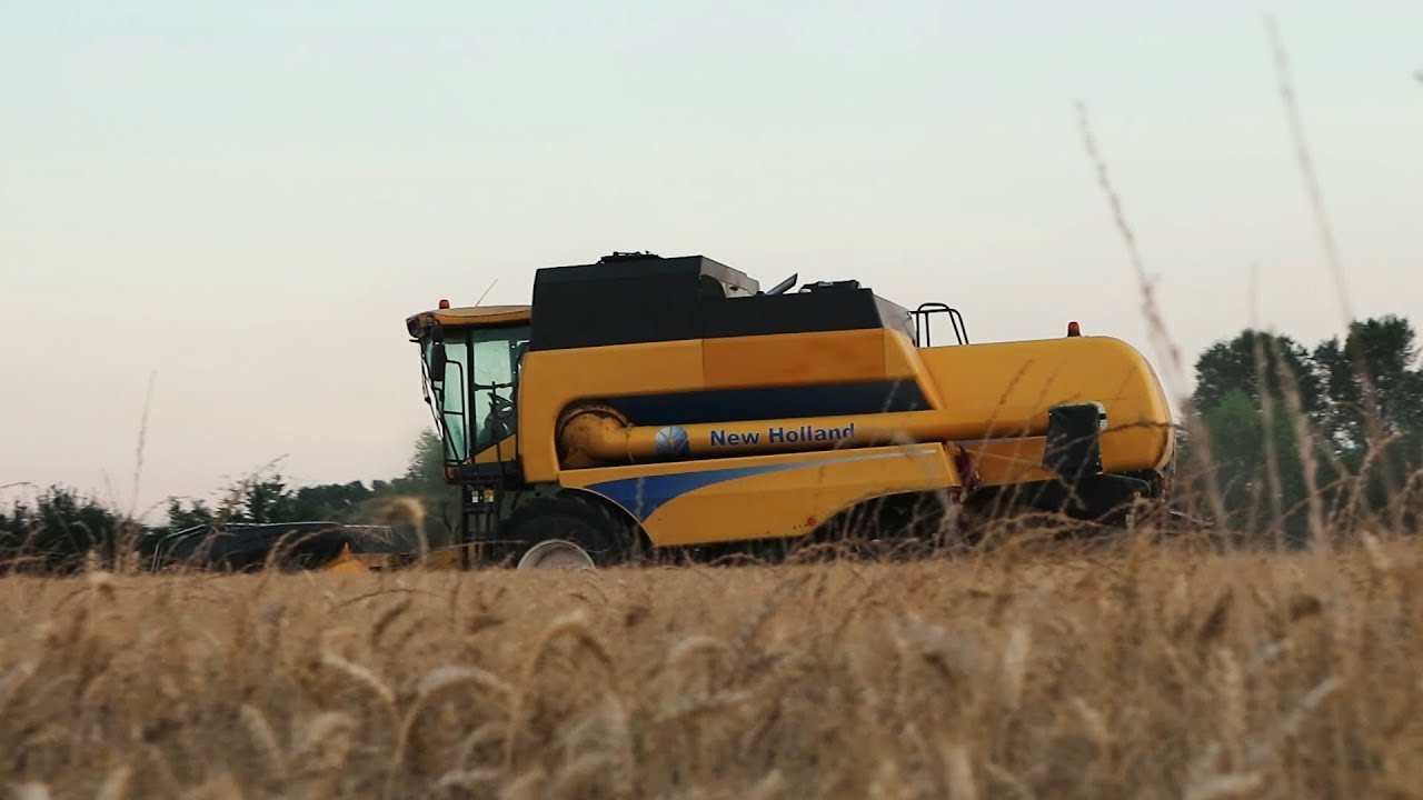 New Holland CSX 7040: Trebbiatura frumento 2019 - YouTube