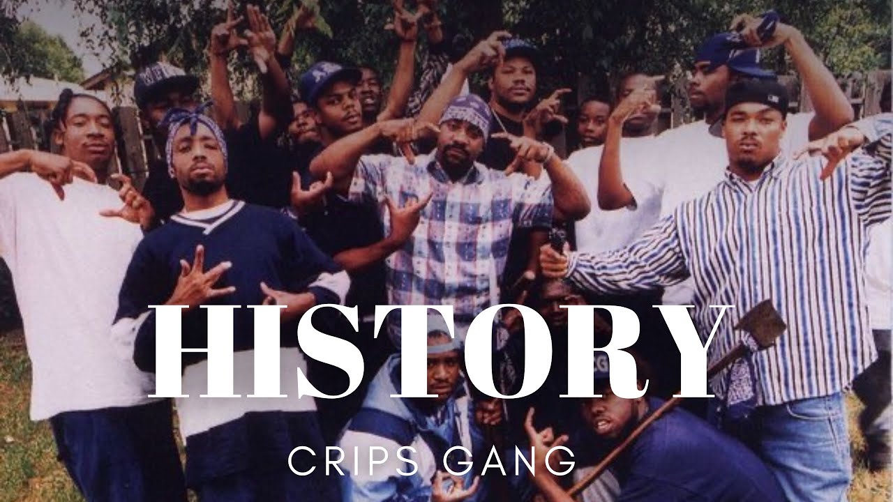 The Origin and Evolution of the CRIPS: The Complete History of the Gang ...