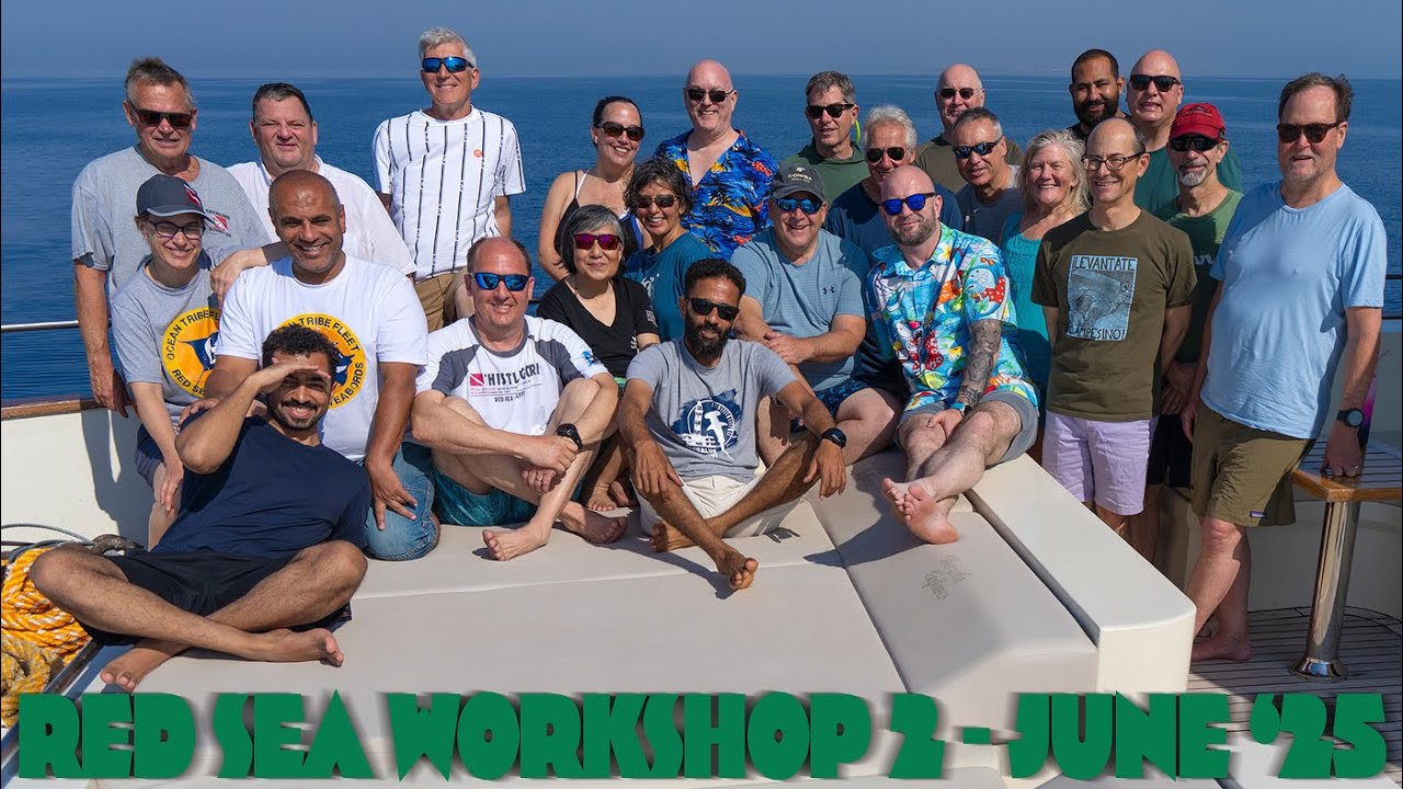 Alex's Red Sea Workshop 2. Summer 2025 - YouTube