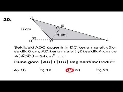 6.SINIF-BURSLULUK 2019-TÜM DERSLER-SORU VE CEVAPLARI