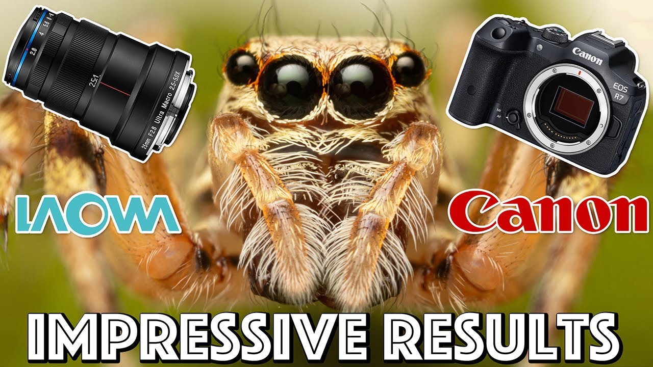 Canon R7 & Laowa 25mm Extreme Macro Photography: First Impressions ...