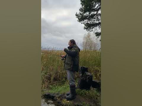 Про стереотипы спиннингистов #спиннинг #щука #микроджиг #shorts - YouTube