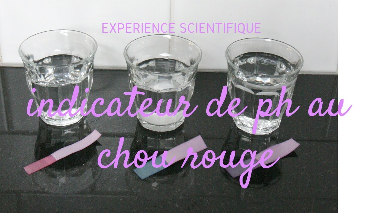 Fabriquer un indicateur pH avec du chou rouge - YouTube