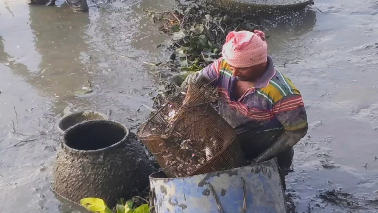 Asian hand mud fishing community !! Unique hand fishing video ...