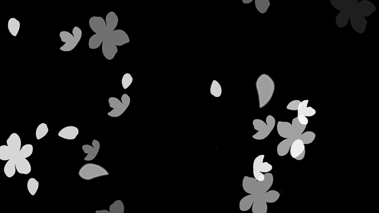 Free background video of falling white flowers - YouTube