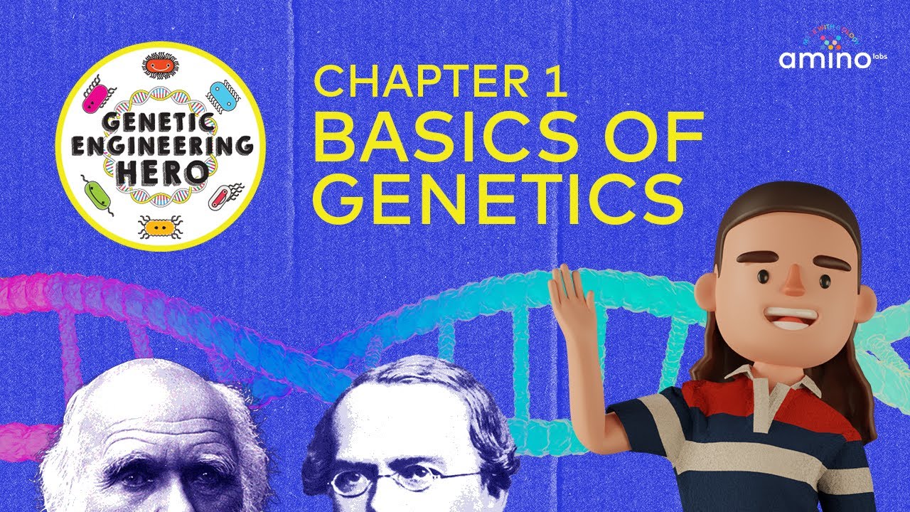 Zero to Genetic Engineering Hero: Basics of Genetics - YouTube