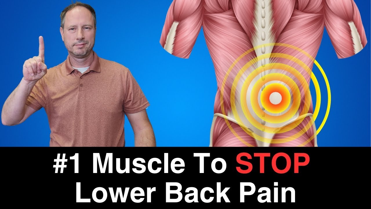 STOP LOWER BACK PAIN FOR GOOD: #1 Muscle to Strengthen and 3 Exercises ...