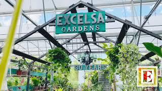Excelsa on the go!