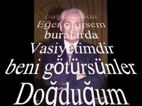 Adnan şenses