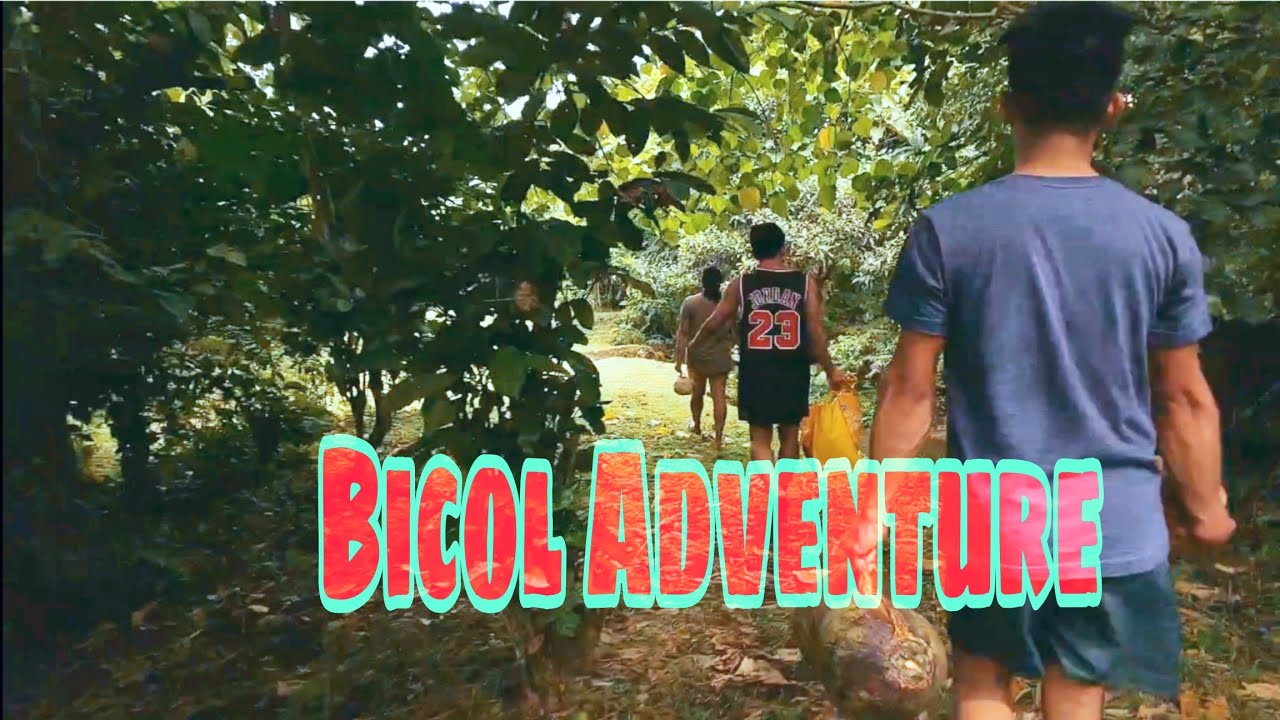 BICOL ADVENTURE 1st day attempt to see Mayon Volcano. Tara mamasyal at ...