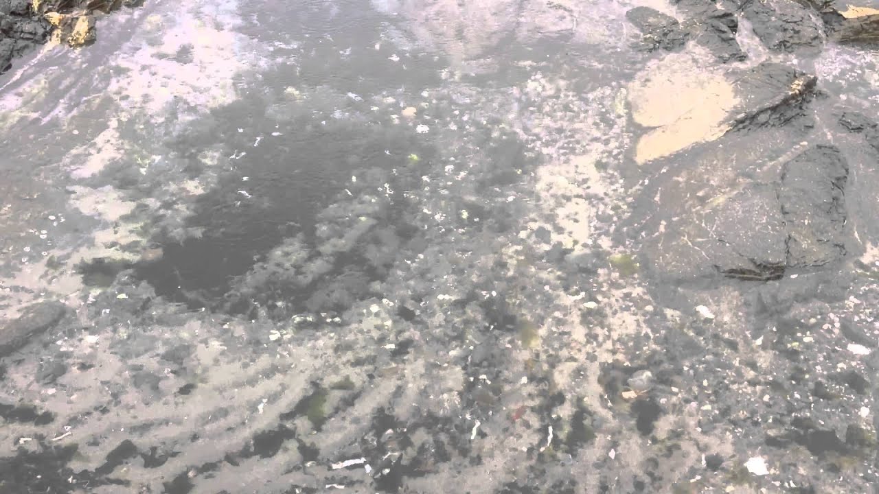 Shimmering Water - YouTube