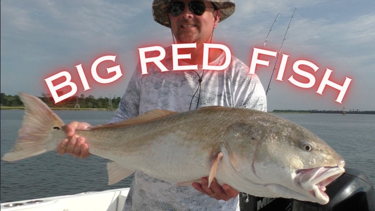 Big Red Fishing Fun - Charleston S.C. - YouTube