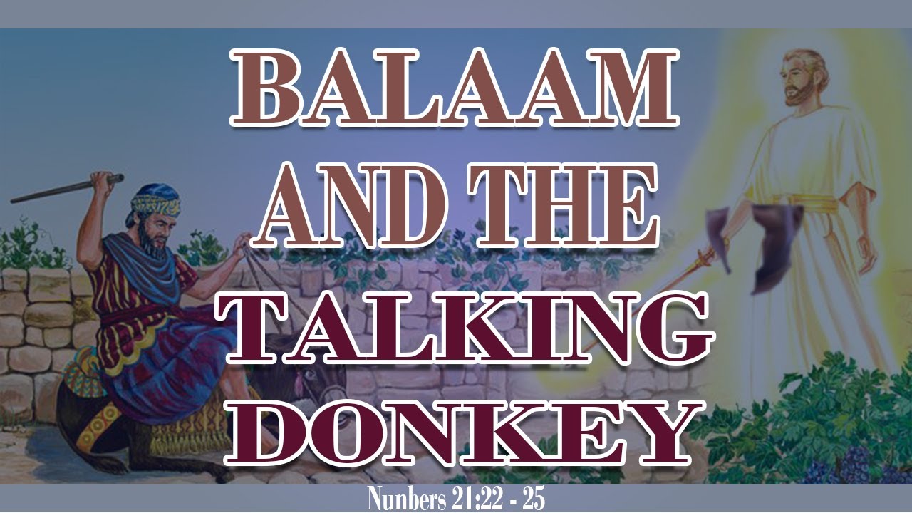 The Story of Balaam, Balak and the Talking Donkey Animated Bible ...