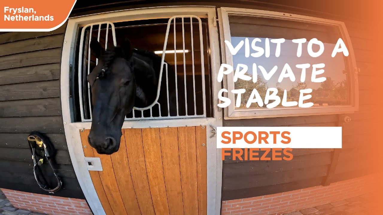 This is what the stables should look like! Thoroughbred stable ...