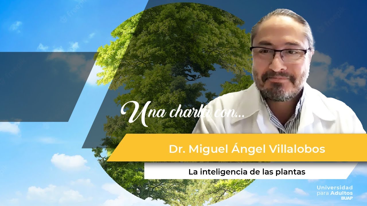 Entrevista con el Dr. Miguel Ángel Villalobos - YouTube