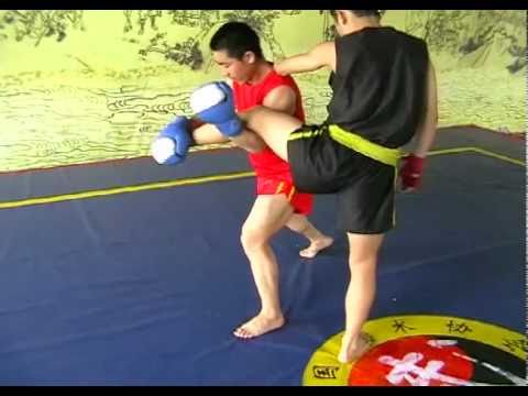 Sanda Roundhouse Kick Leg Pull Throw - YouTube
