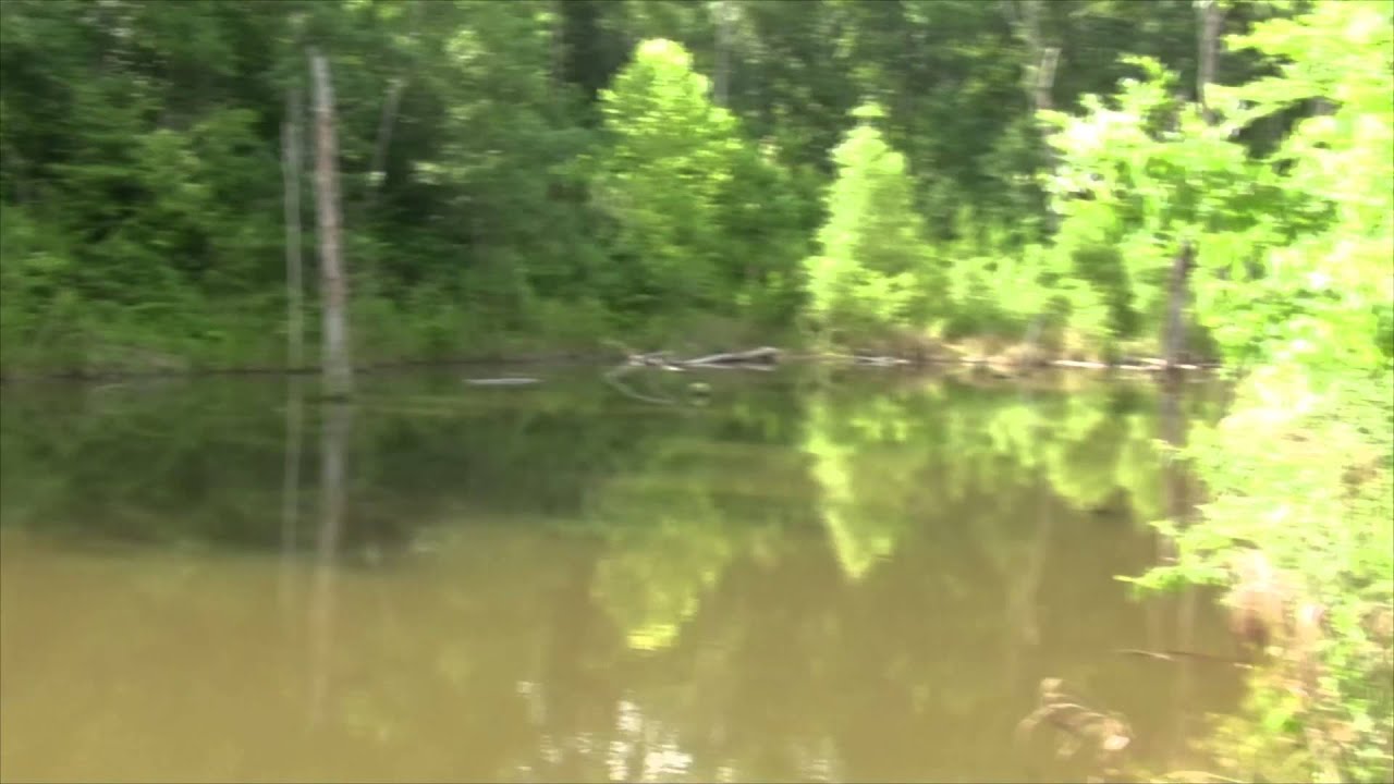 Fishing Lake - 23 Acres w/1.6 Acre Lake - YouTube