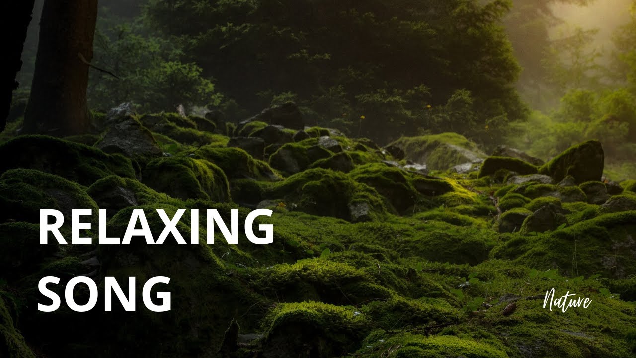 Relaxing Song - Nature Song - YouTube