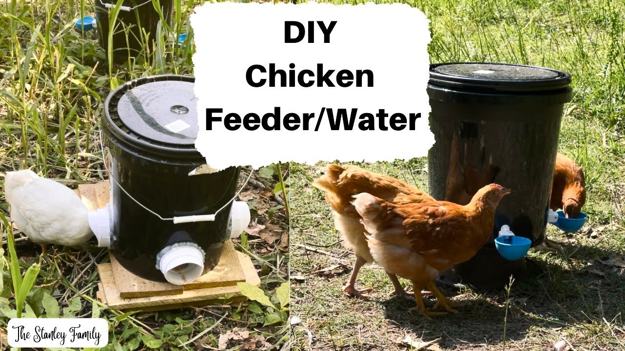 How To Make A Chicken Feeder and Waterer With A 5-Gallon Bucket - YouTube