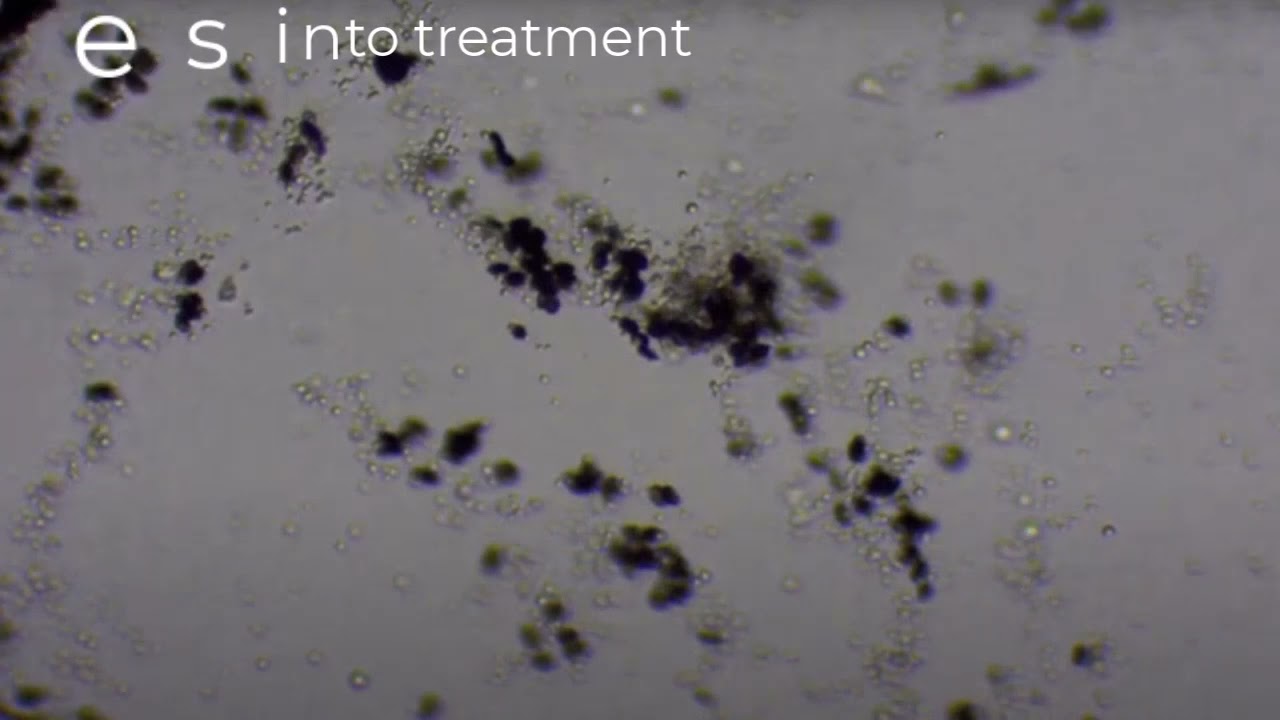 Mold Breakdown - YouTube